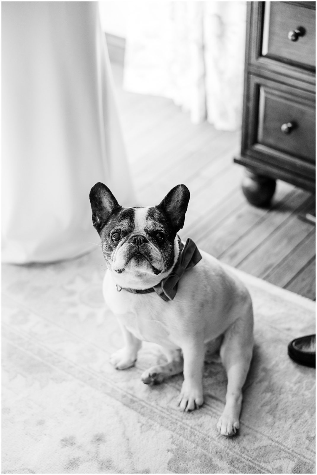 Kristin & Rob | Fall Hamilton Farm Wedding | East Coast Wedding ...